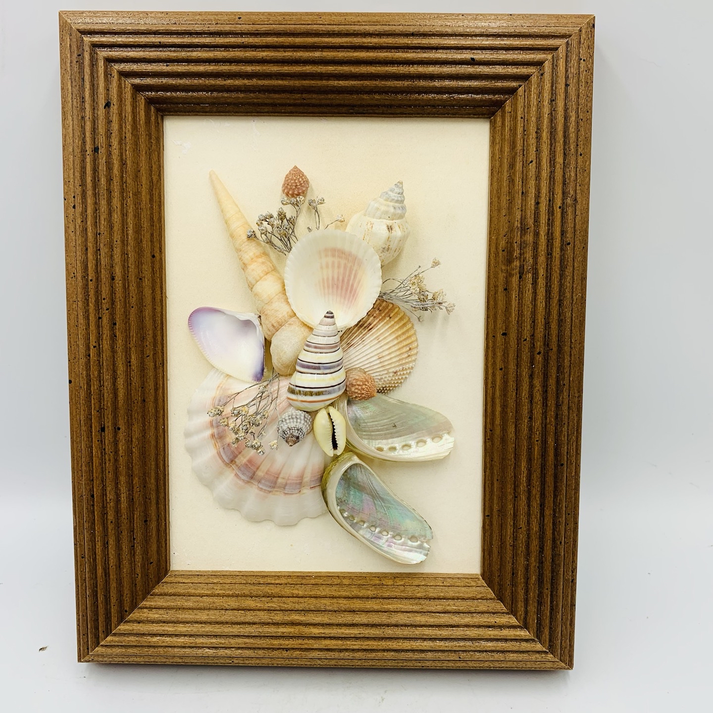 3D Framed Seashell Wall Art Collage Beach House Coastal Decor