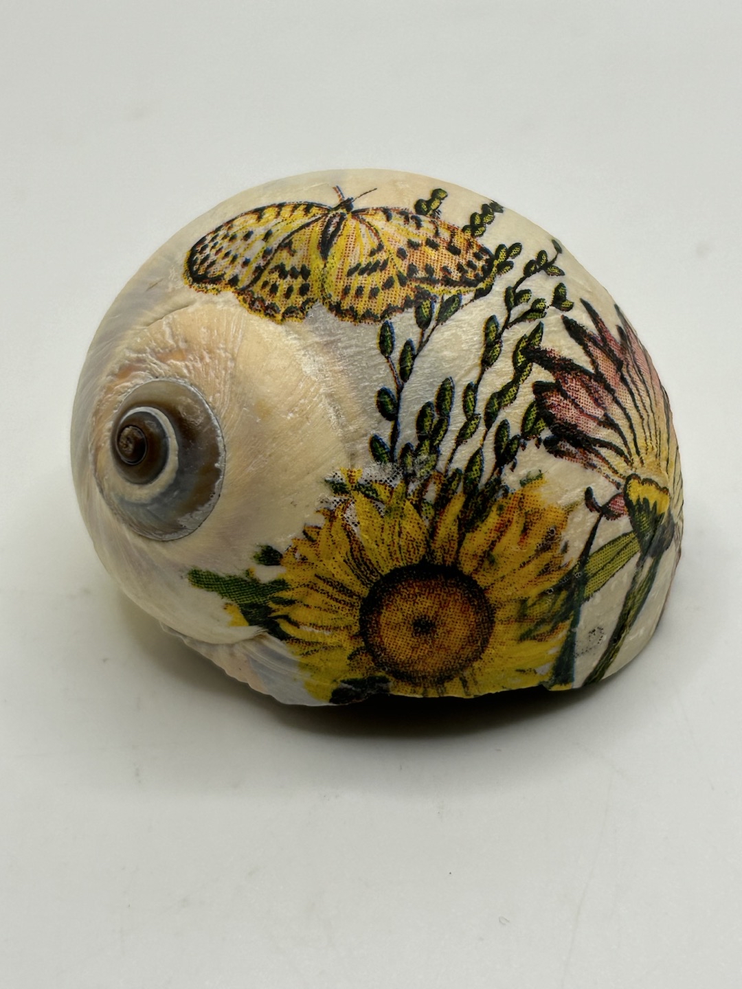 Handmade Decoupage Seashell