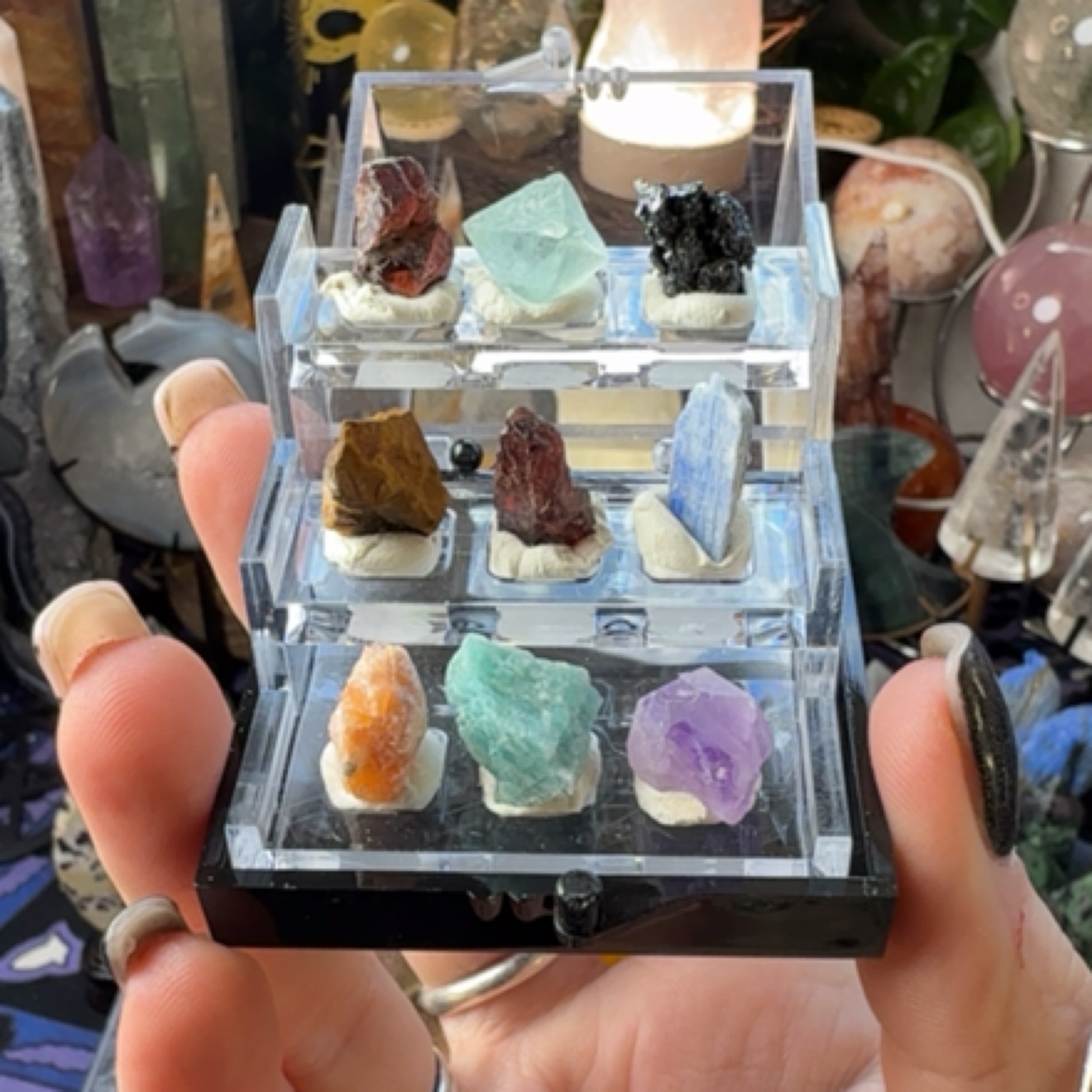 Small Mini Specimen Box 25d
