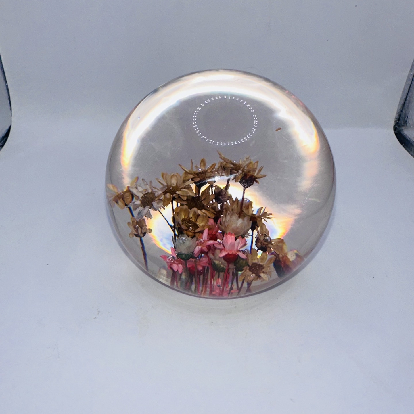Vintage Daisyglas Co Lucite Dried Real Flowers Round Sphere Paperweight