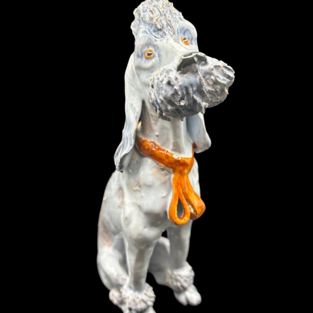 Italian Poodle