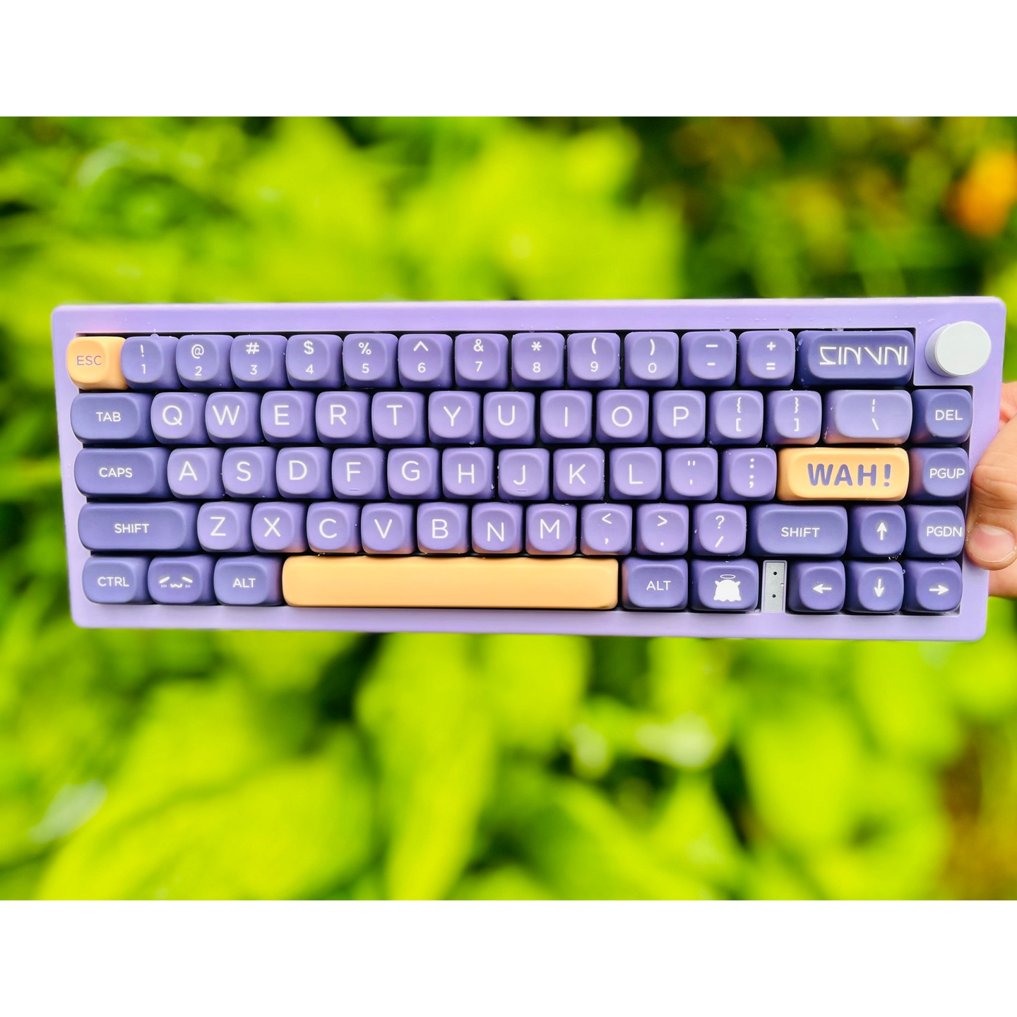 Custom Gmk67 — Banana Split Switches