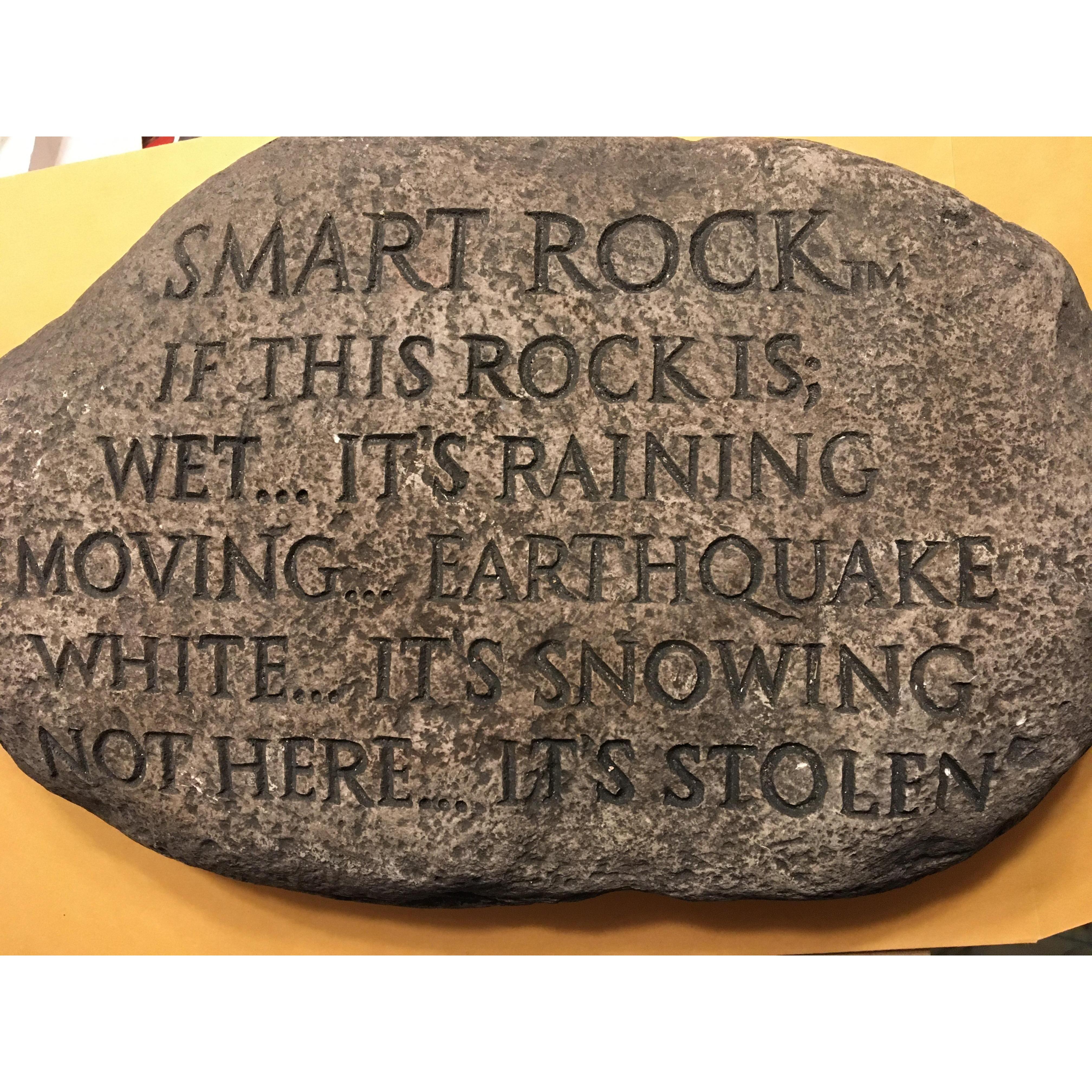 Smart Rock Novelty Item for Garden or Home Like New