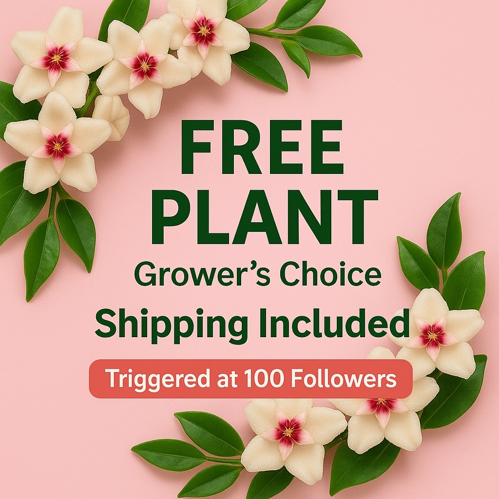 Free plant (growers choice) shipping included triggered at 100 followers