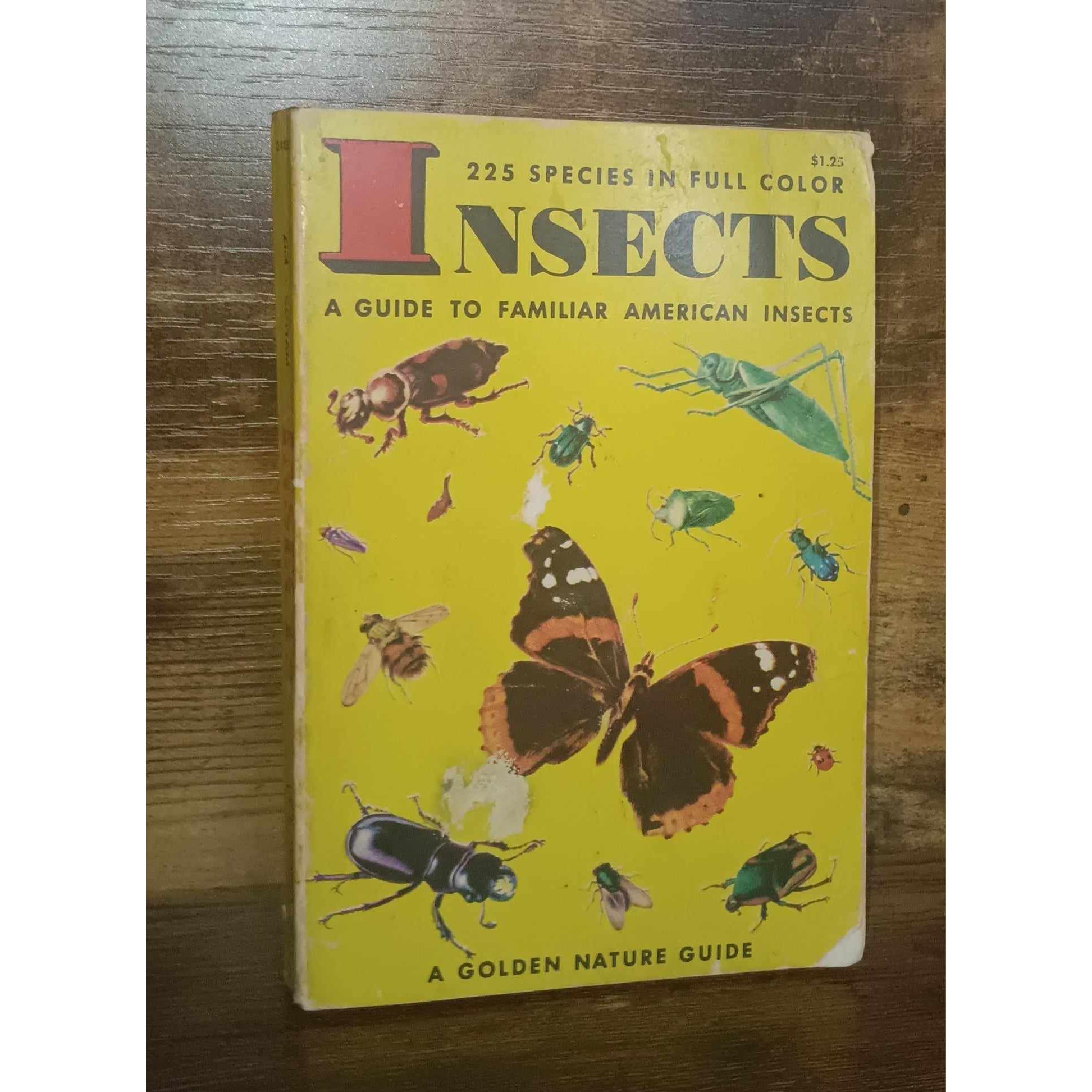 Vintage Color Insects Book