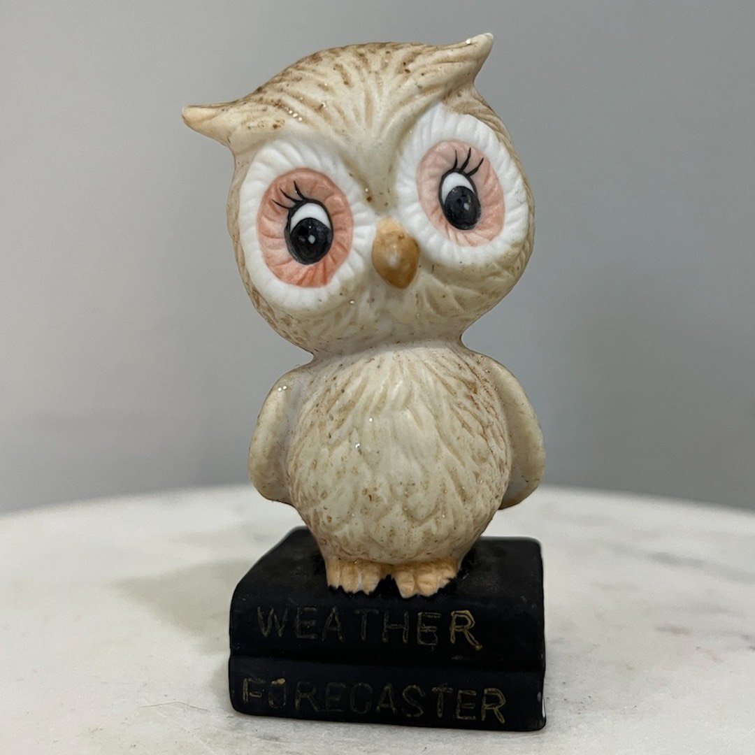 Vintage 1975 Enesco Weather Owl Ceramic Glitter Figurine on Books ...