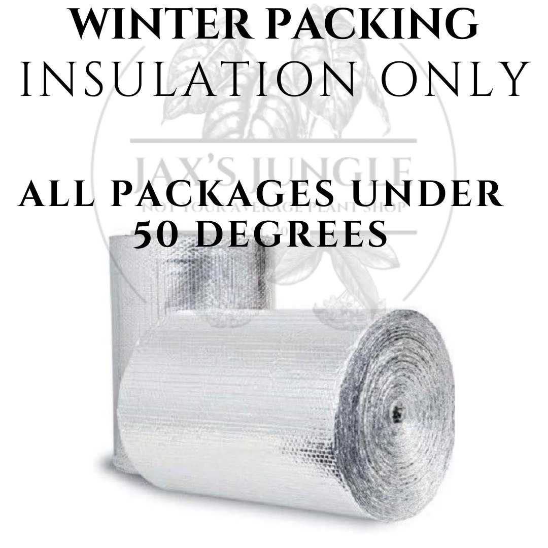 Winter Packing Insulation Only