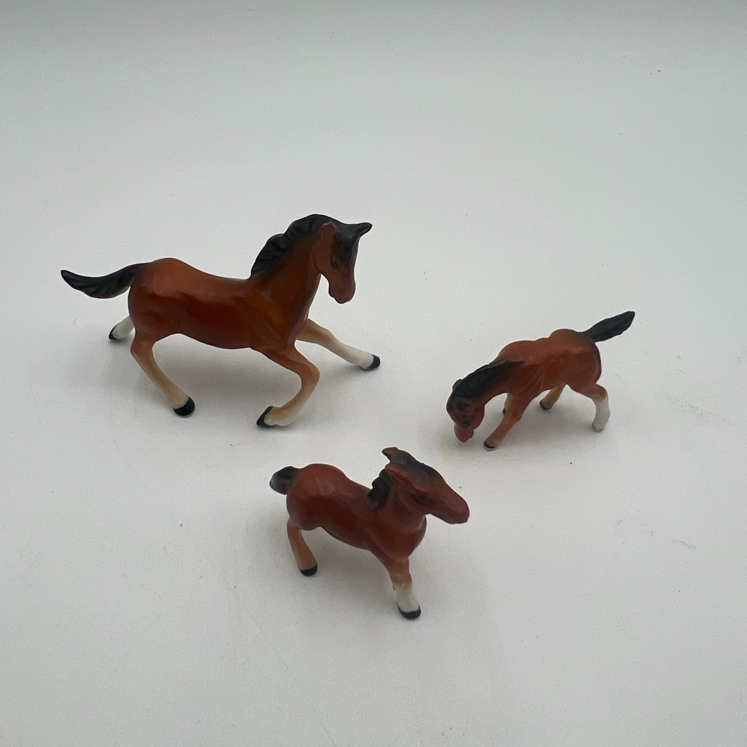 Teeny Tiny Miniature Horse Family
