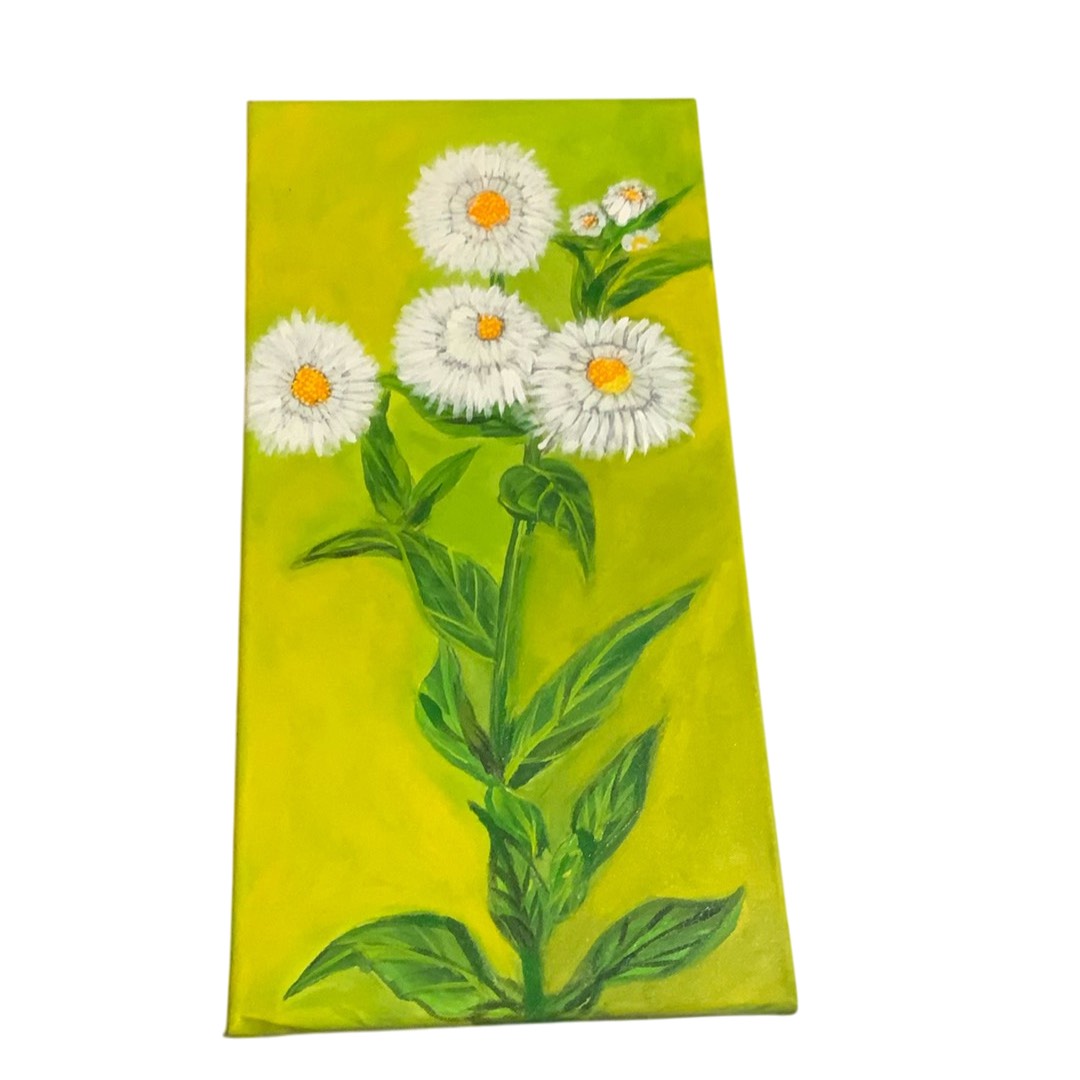“Wild White Desert Aster🏜️ Happy Birthday July🌼 ️ Hand Painted White ...