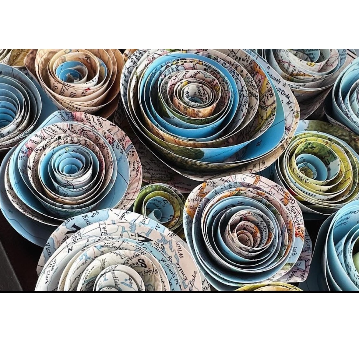 #01 - 12 Map Flowers