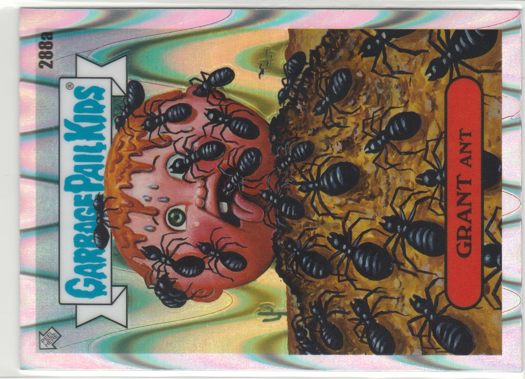 Grant Ant #288a Drool Raywave