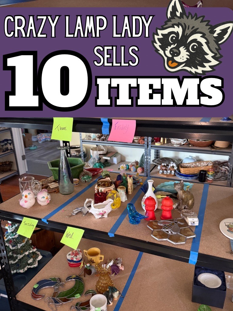 10 Items, 10 Days (with Sage 🤠)