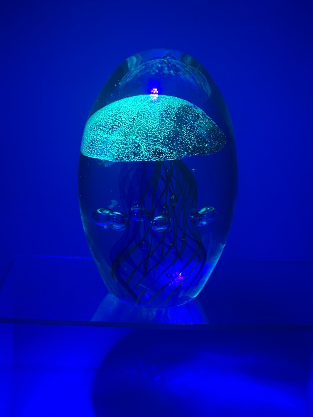 Art Glass Jellyfish Paperweight Glows In The Dark And Is Iridescent ...