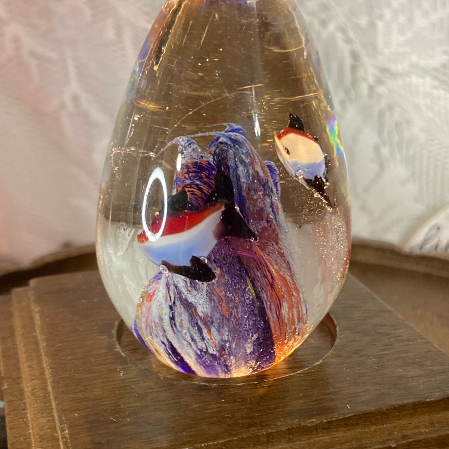 Egg Shaped Aquarium Paperweight 2 Fish, 3x2