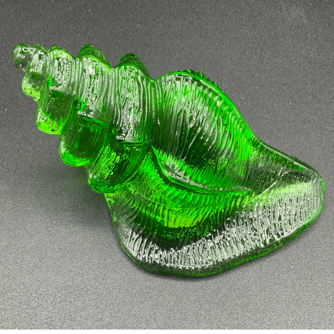 Sea green Shell Paperweight With Smooth Clear Bottom