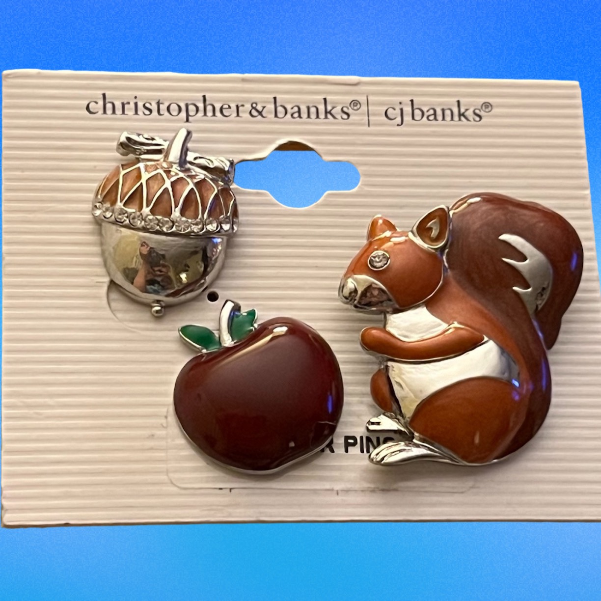 Christopher & Banks CJ Banks Silvertone Autumn Scatter Pins Set of 3 ...