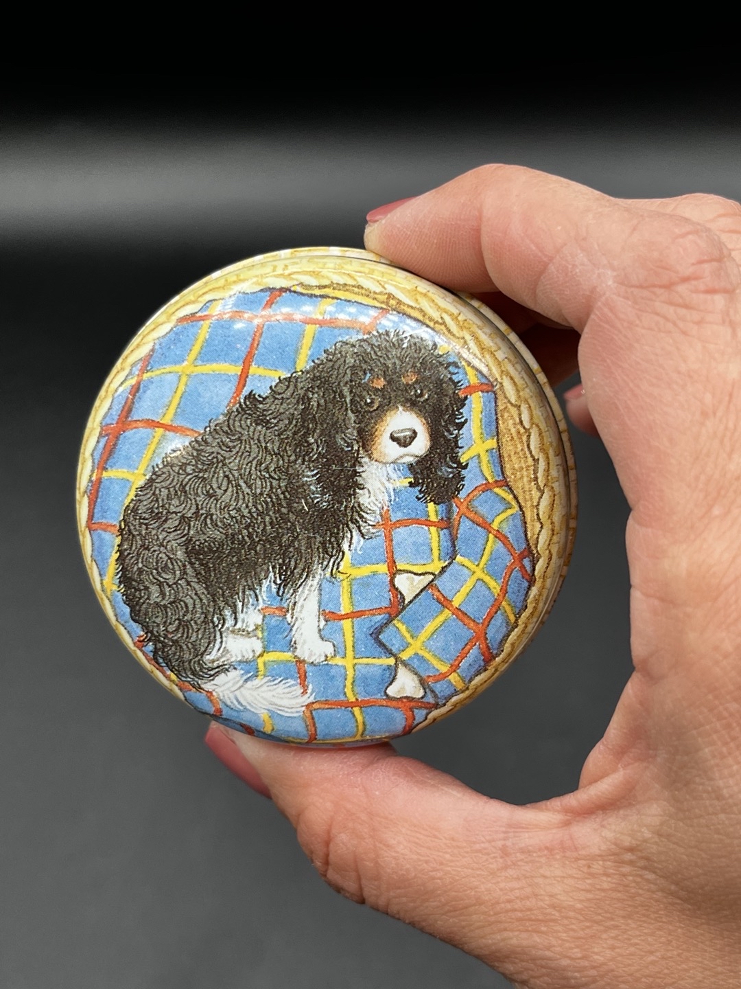 1990 Dana Kubrick Hunky Dory Designs Round Pile Of Puppies Lidded Tin 🐶