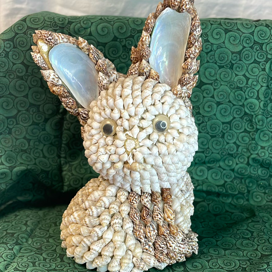 Shell Bunny