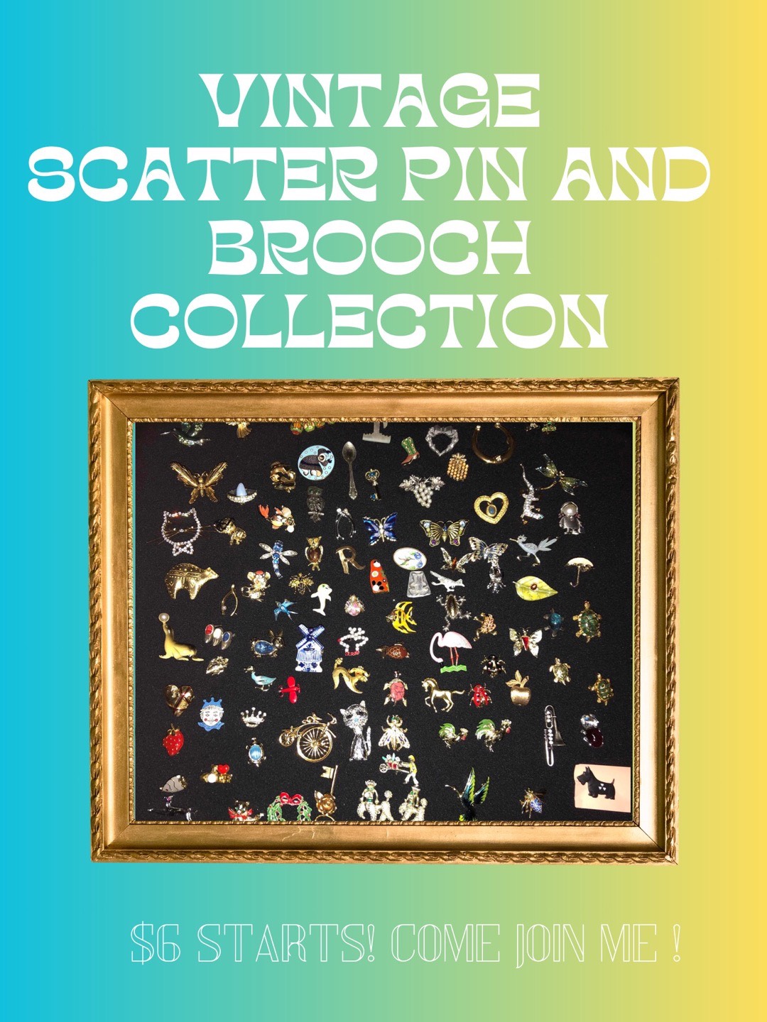 Vintage Scatter Pins And Brooches With Jenikay