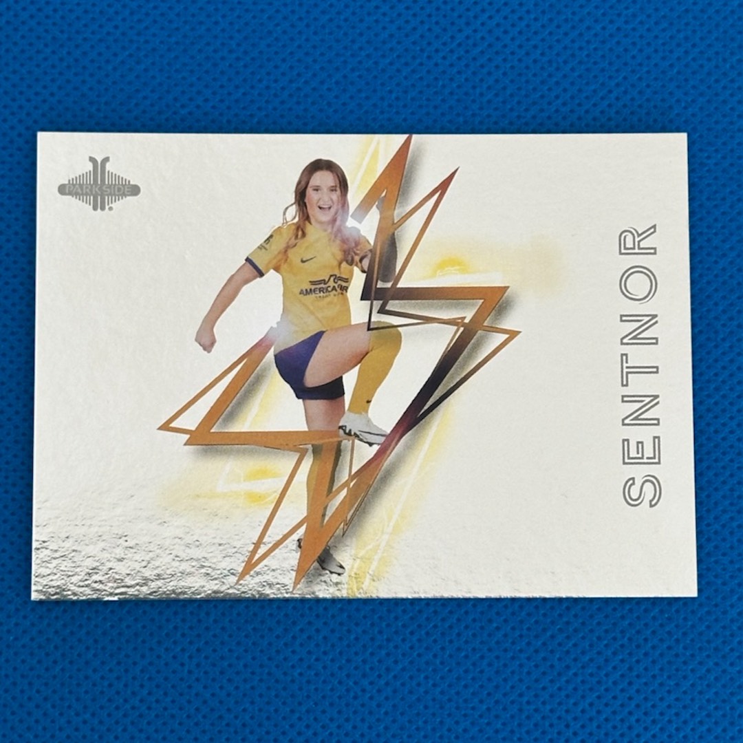 02- Ally Sentnor 2 Card Lot