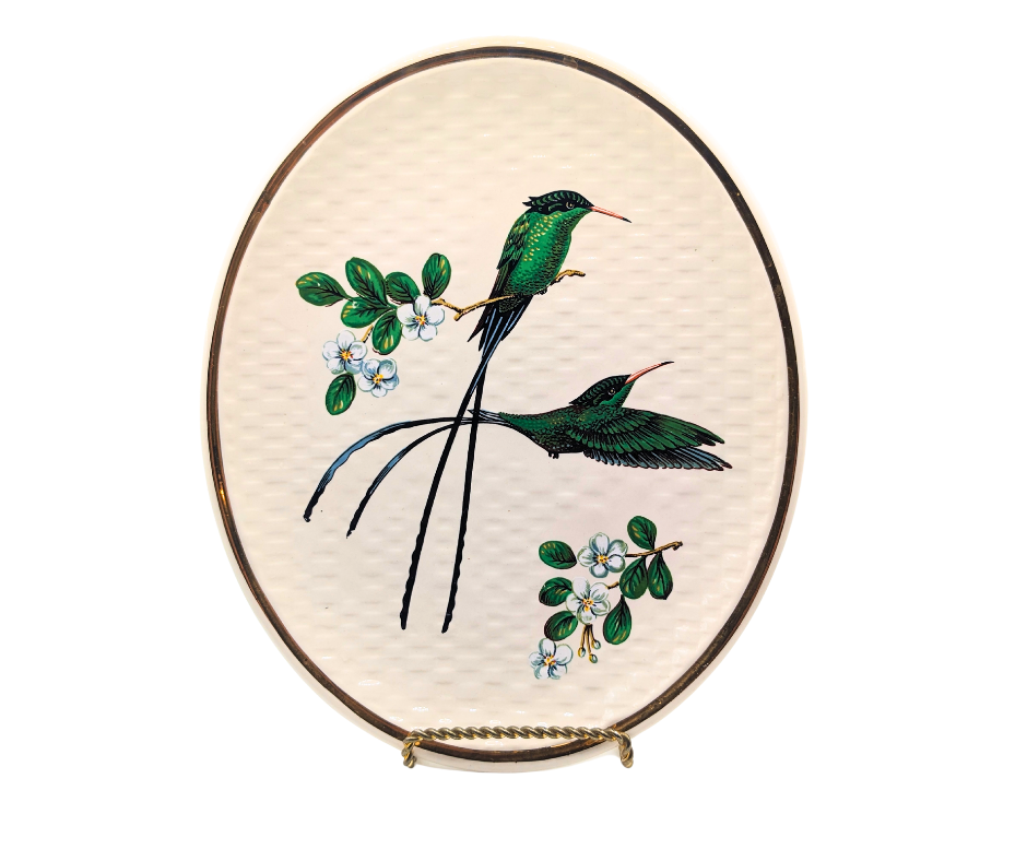 Red Billed Streamer Tailed Bird Plate Oval Decal Gold Trim Made in Jamaica