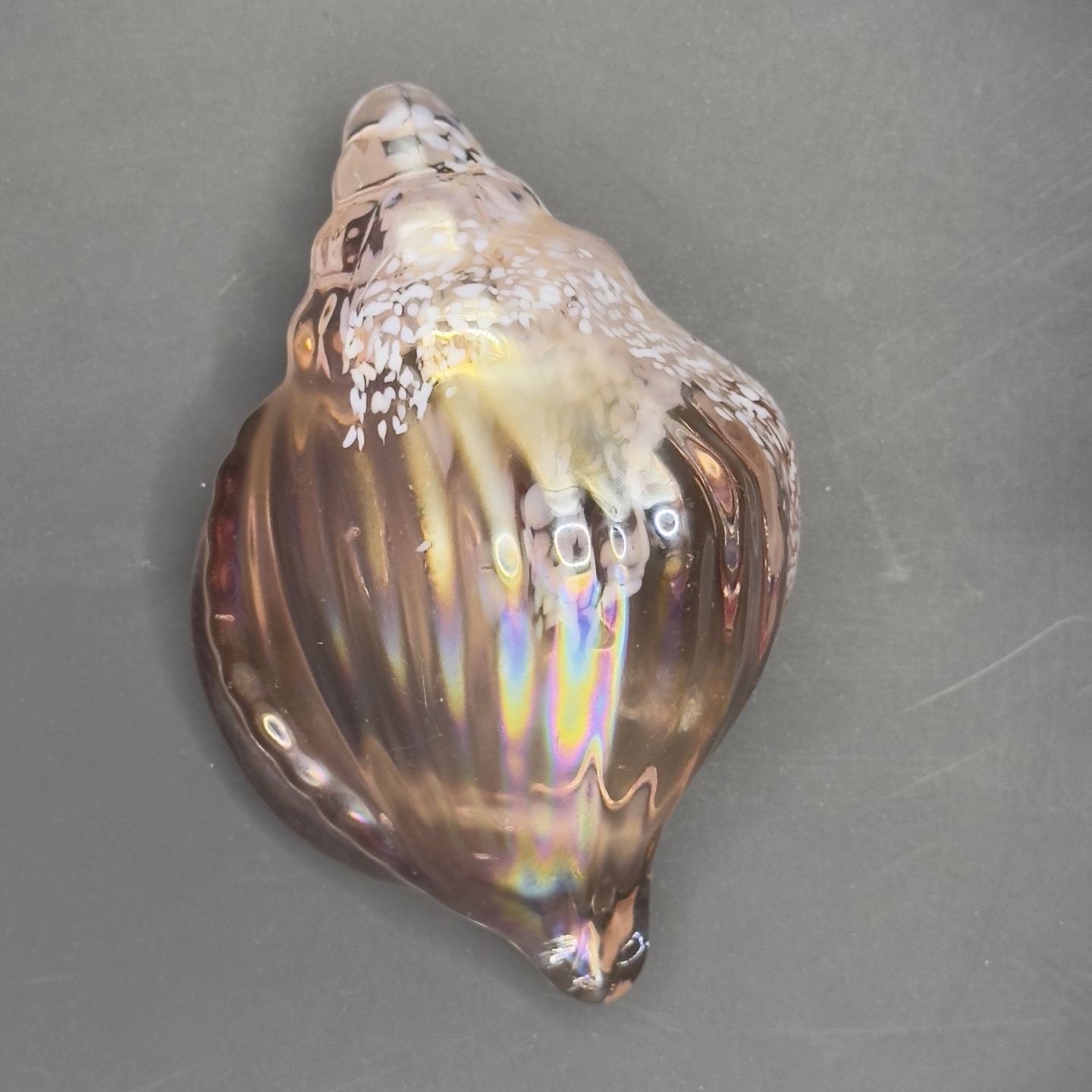 #364 Pink, Iridescent, Glass, Conk Sea Shell, Opalescent Paperweight