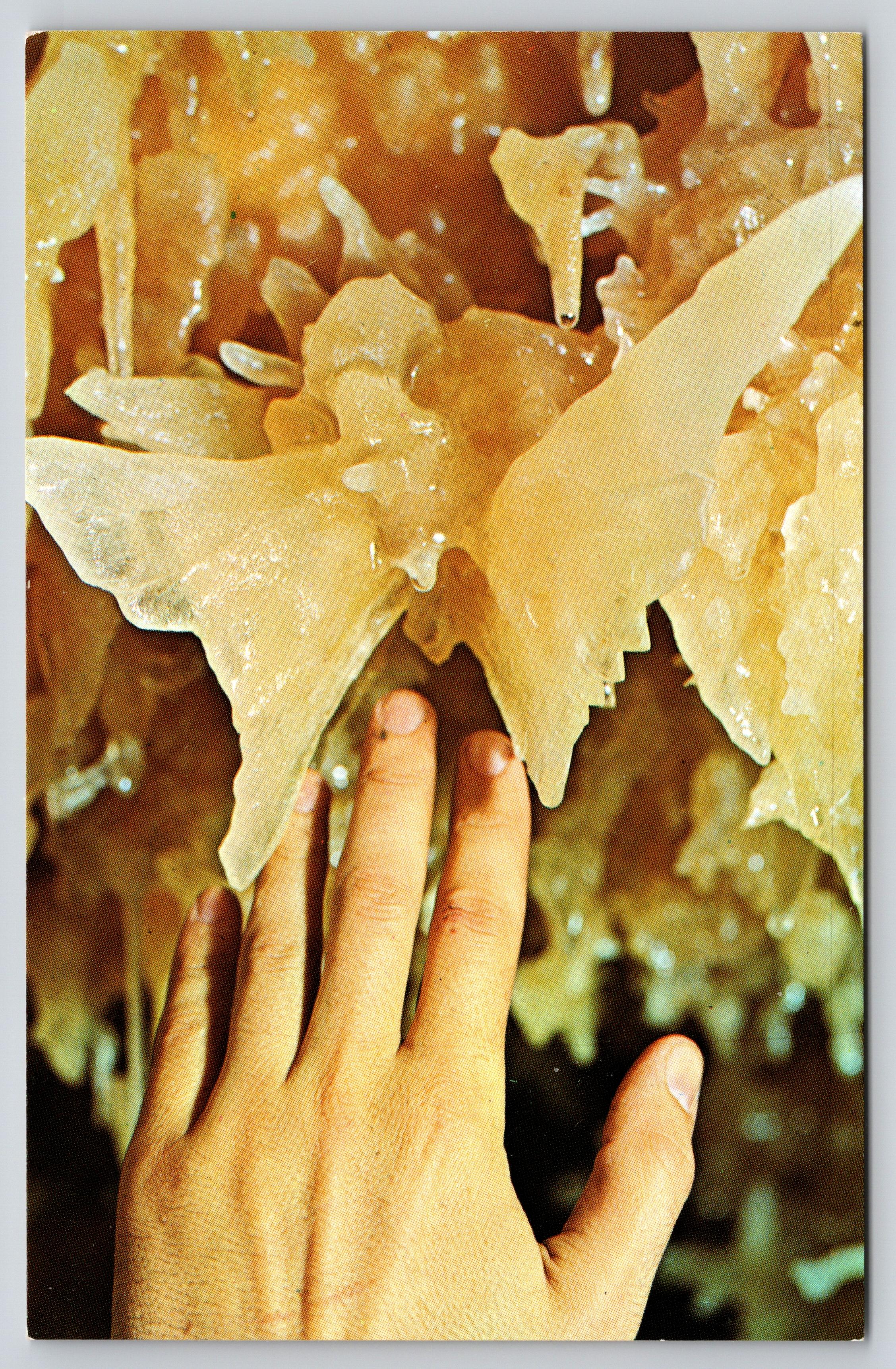 Postcard The Butterfly Caverns of Sonora Texas Karst Geology Spelunking ...