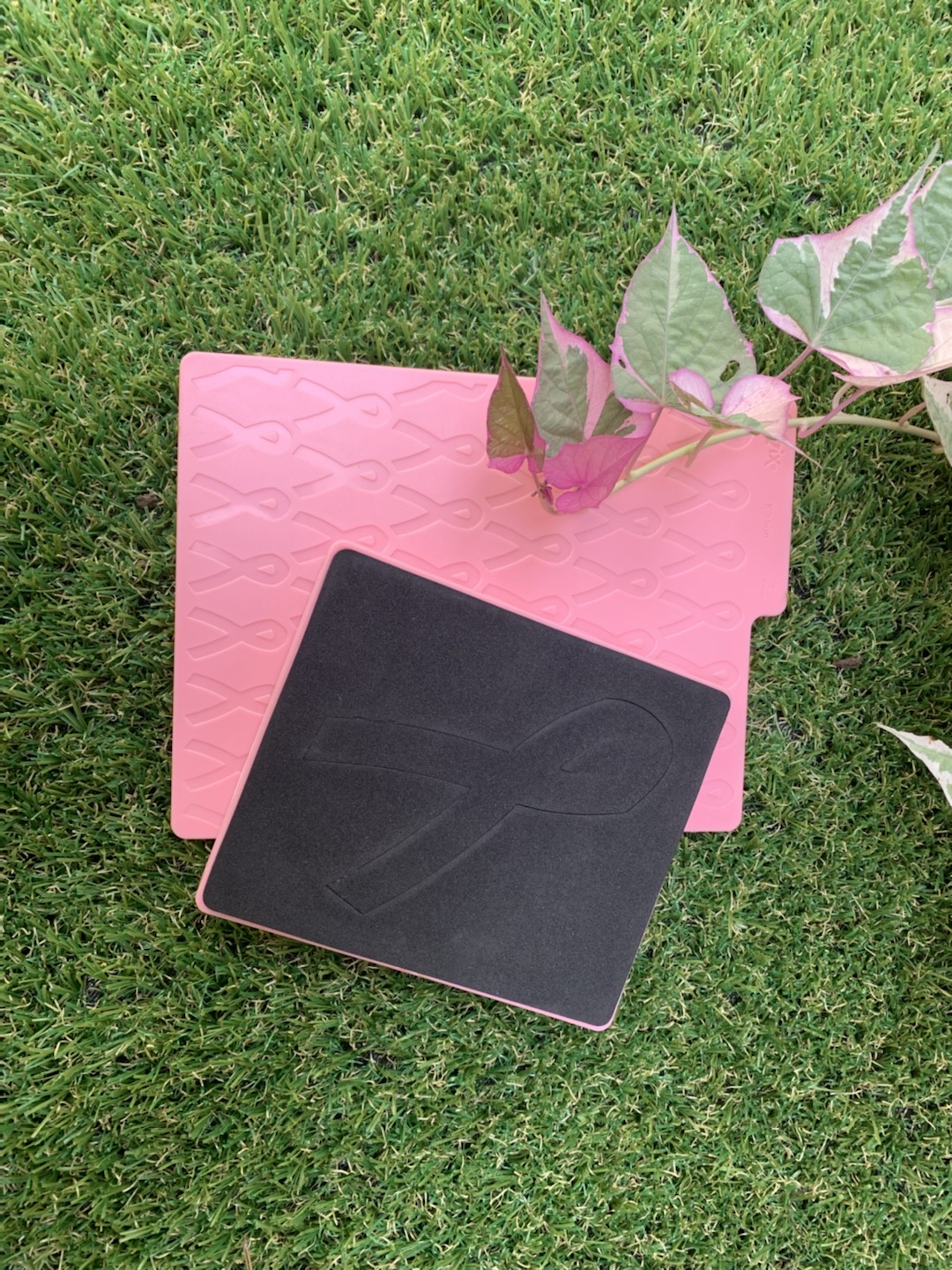 Sizzix Pink Ribbon Die And Embossing Plate