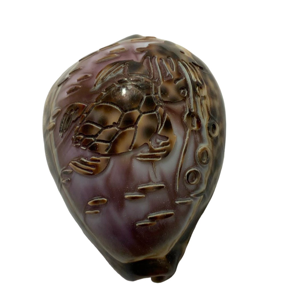 #4 - Vintage Handcrafted Carved Natural Cowrie Shell - Turtle Design