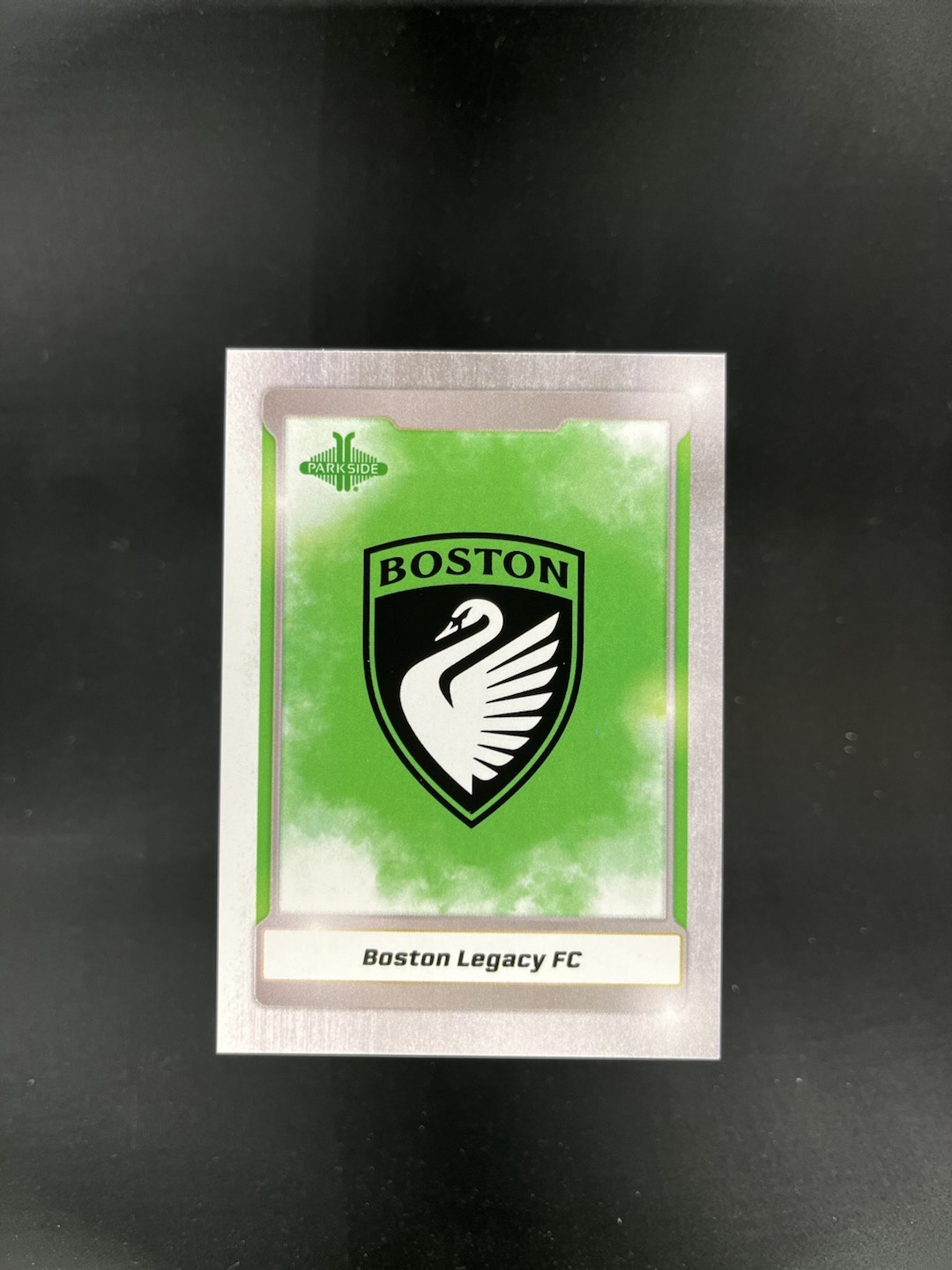 2025 NWSL Parkside Team Crest - Pick Your Team