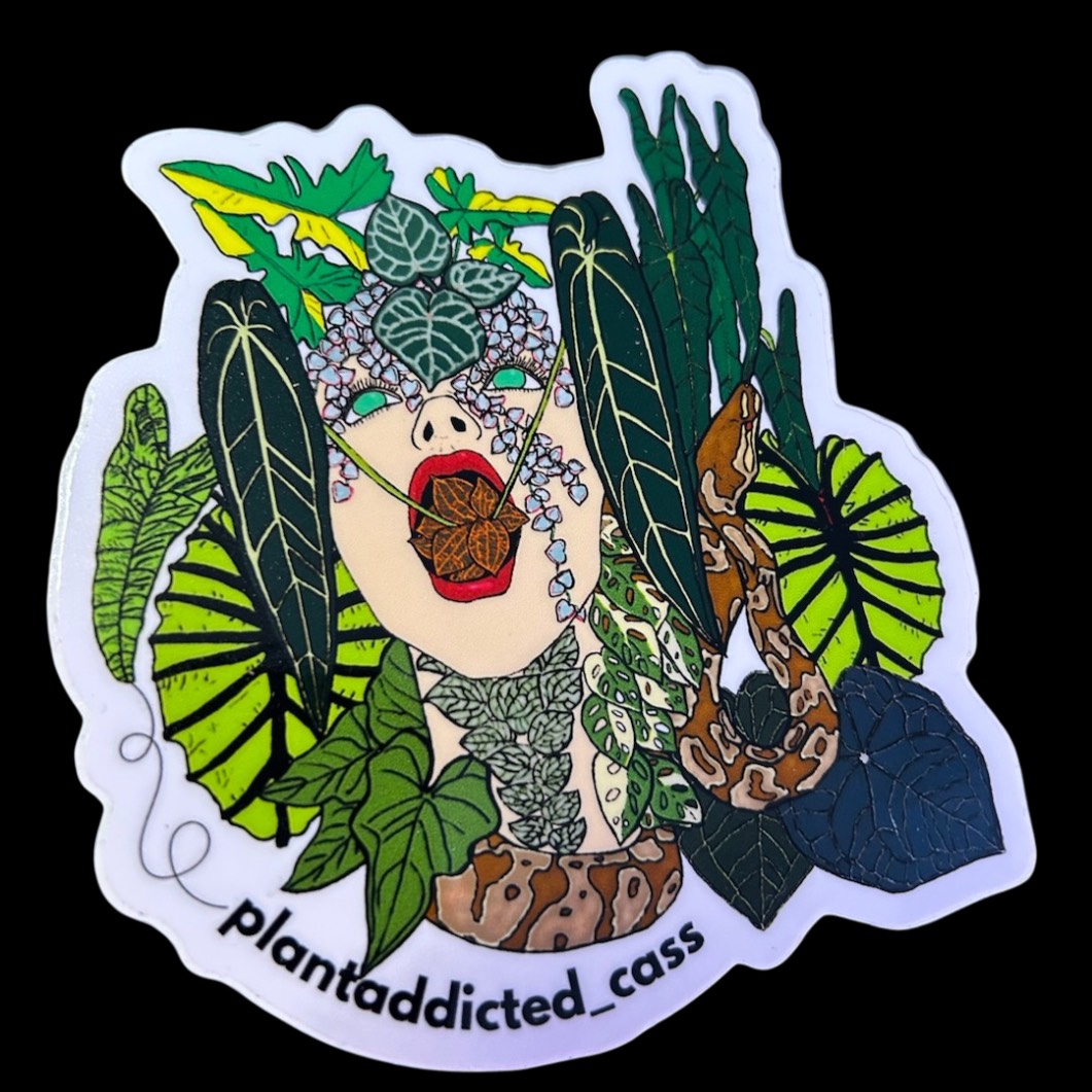 Sticker (If You Only Get The Sticker)