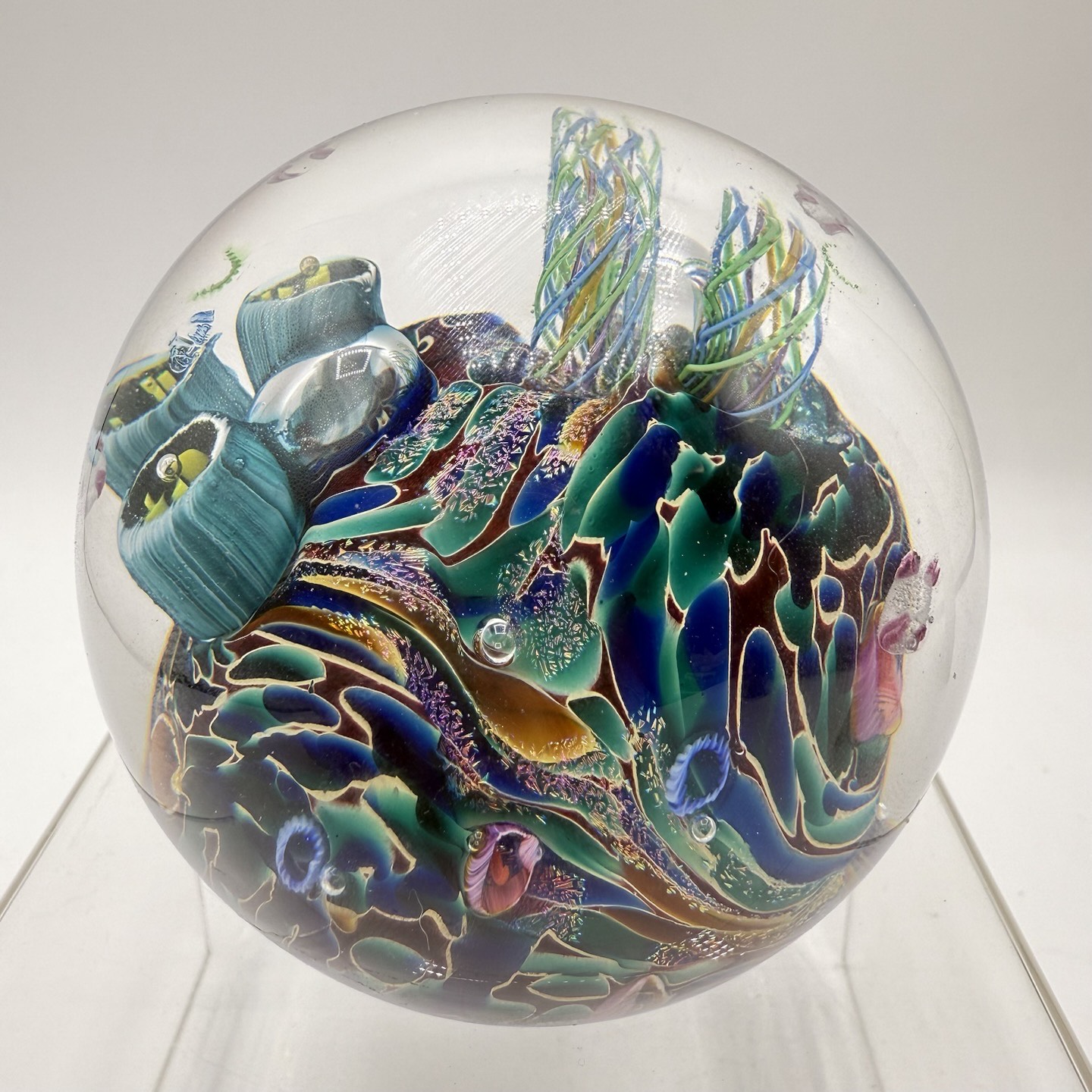Glass Eye Studio “Cool Pool” Stunning Art Glass Paperweight 3”