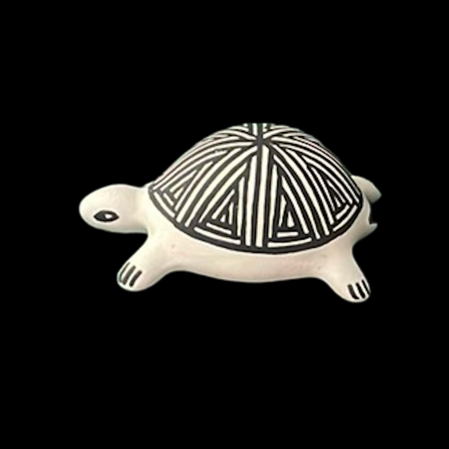 Bora Acoma Turtle