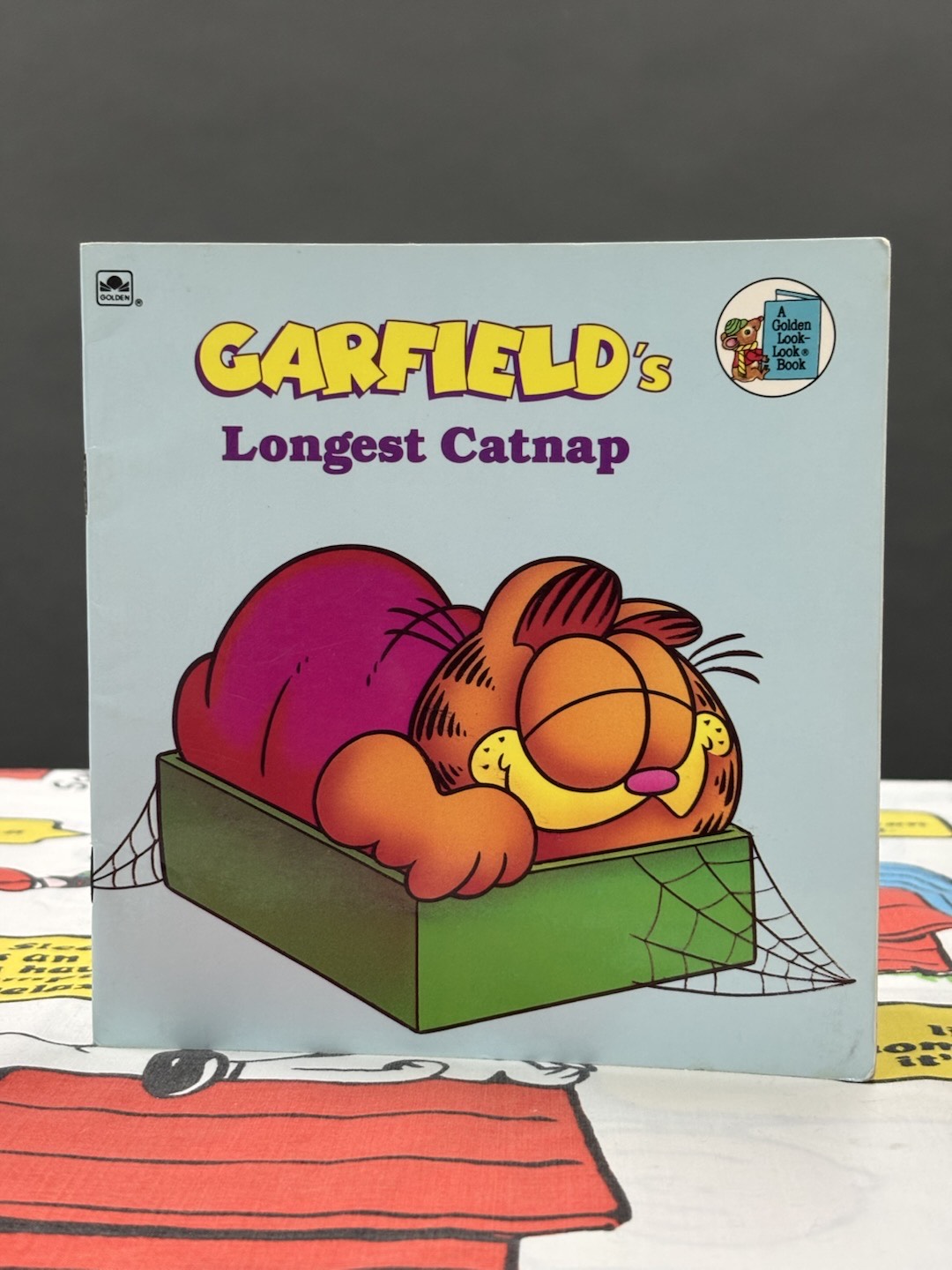 Garfield’s Longest Catnap Picture Book