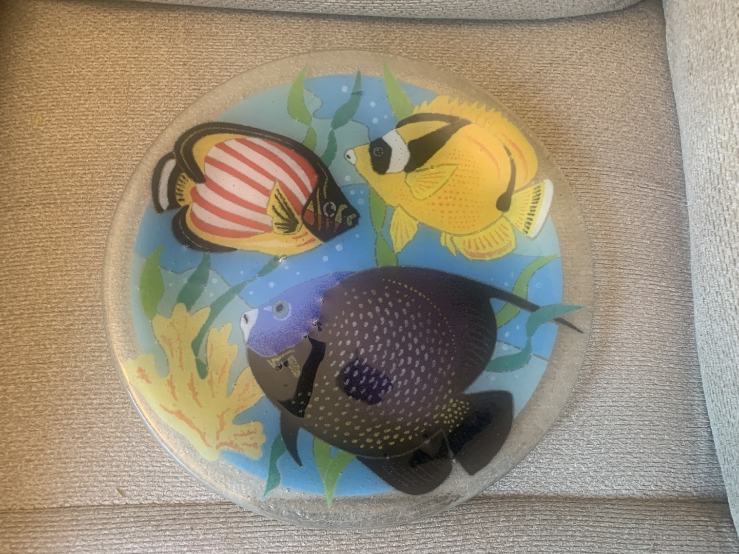 029 Fused Glass Fish Plate 11 Inch Diameter