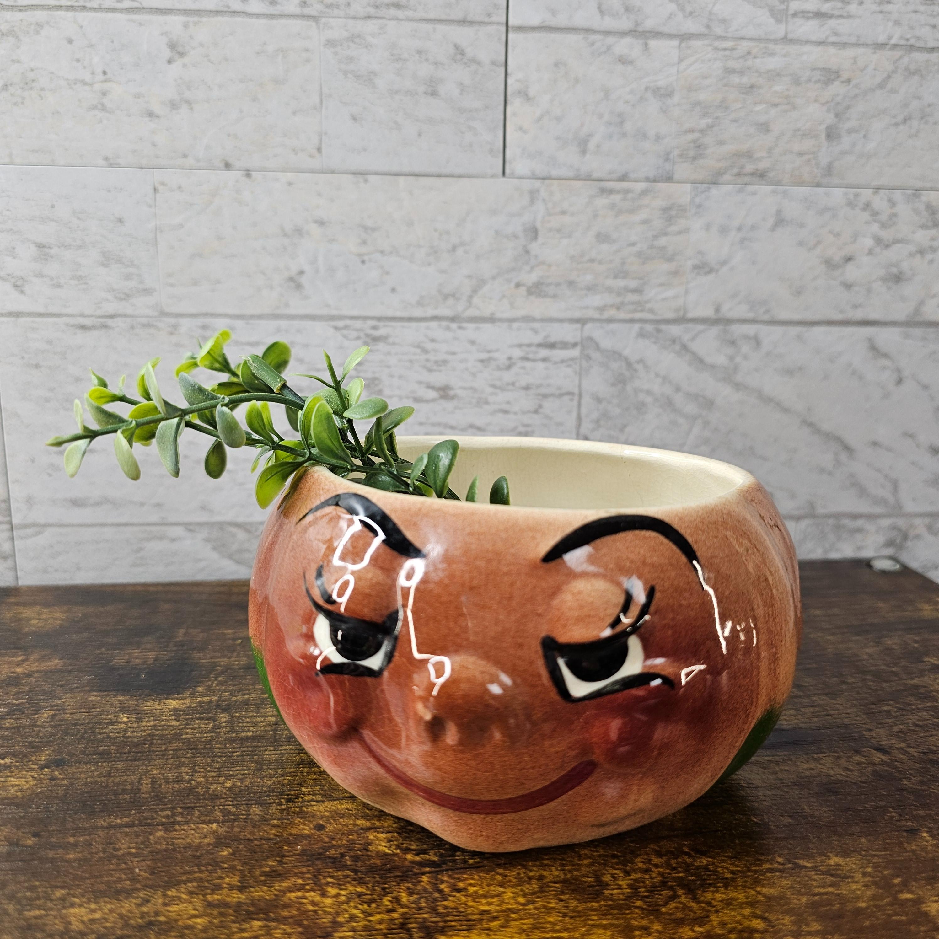 Vintage Anthropomorphic Deforest Of California Garlic Keeper (dish only ...