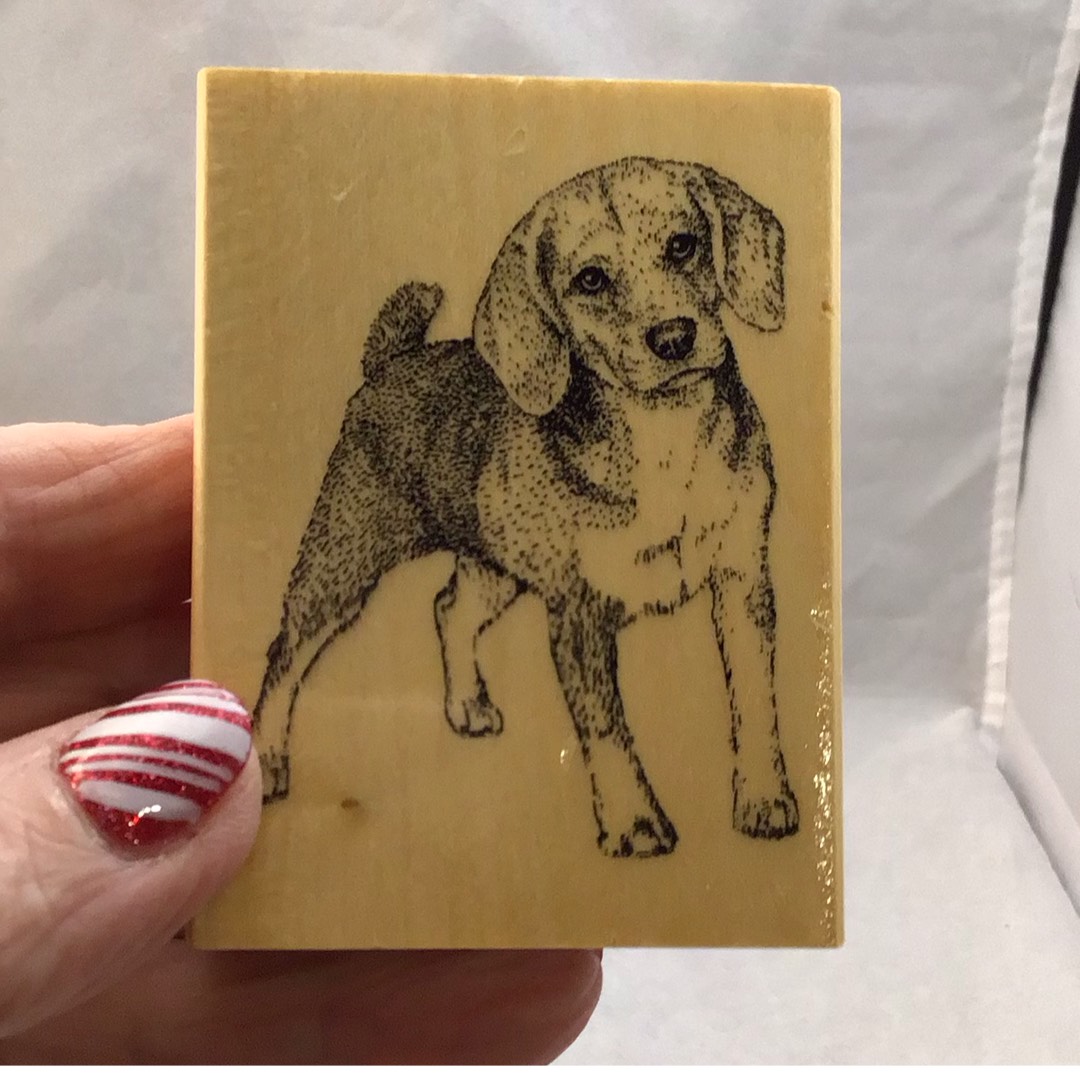 #01 Beagle dog stamp - Stamp gallery, dog wood stamp
