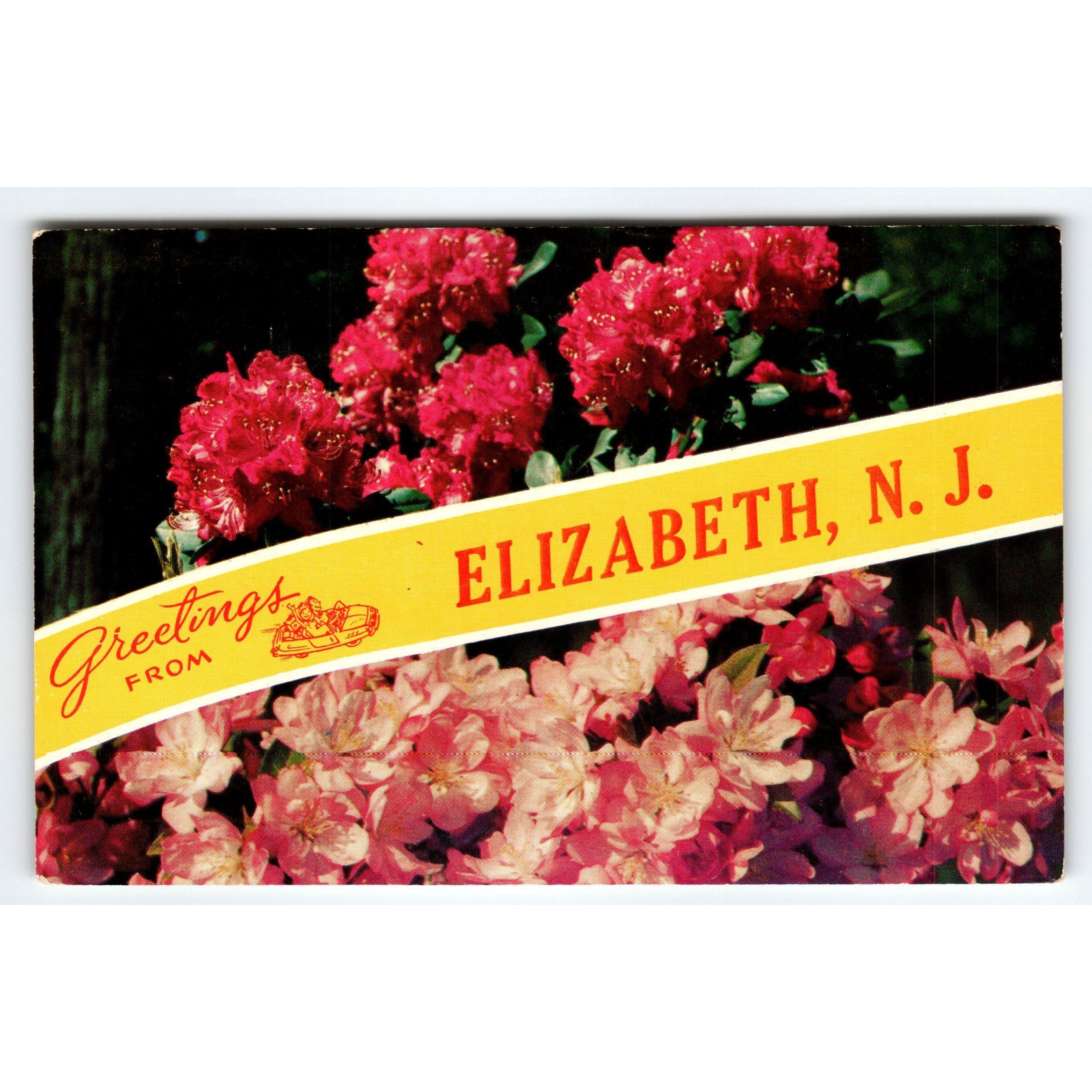 Greeting From Elizabeth New Jersey 1950's Chrome Flowers Large Letter ...