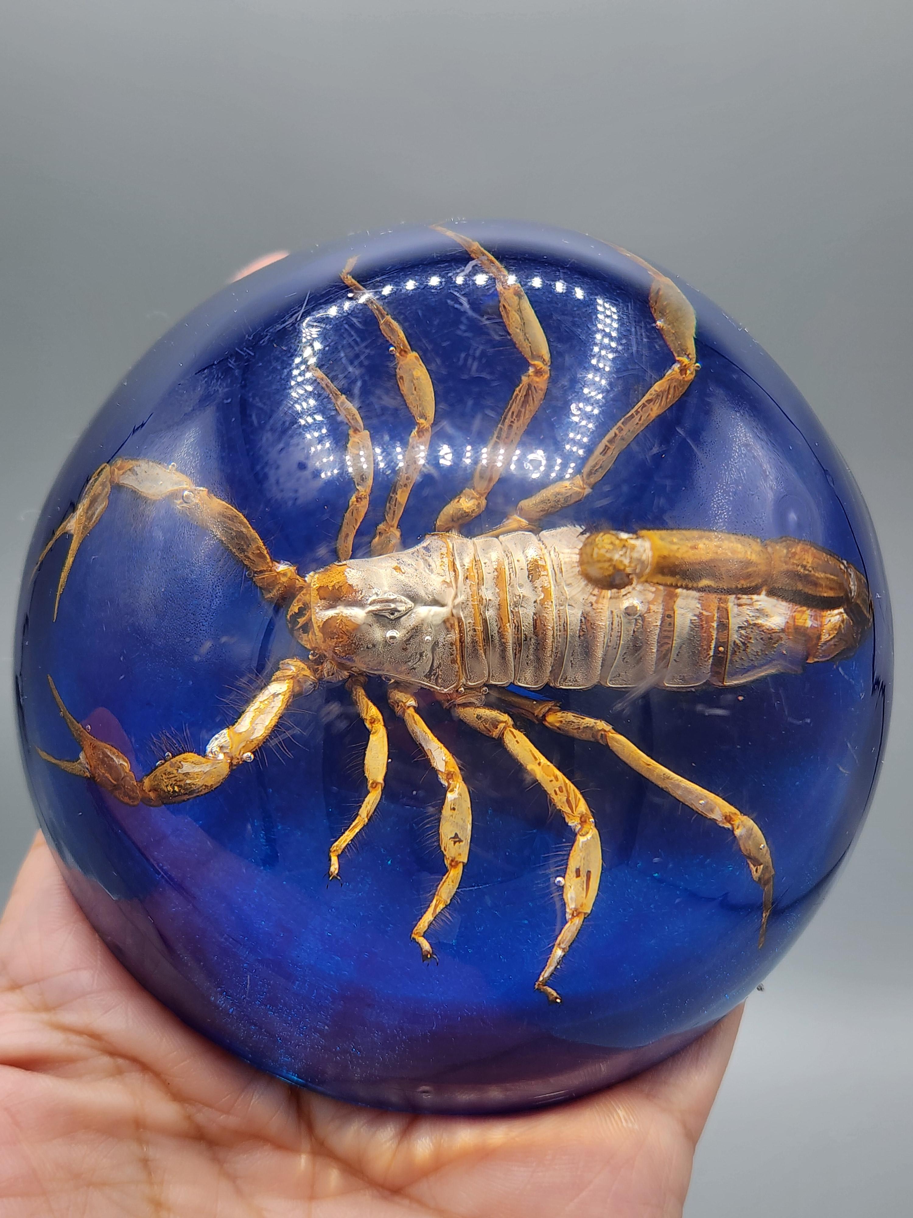 Vintage Scorpion Lucite Paperweight as Is 2"