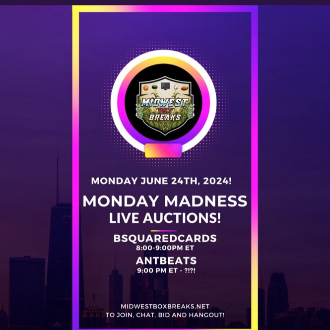 Pick A Lot Auction 11