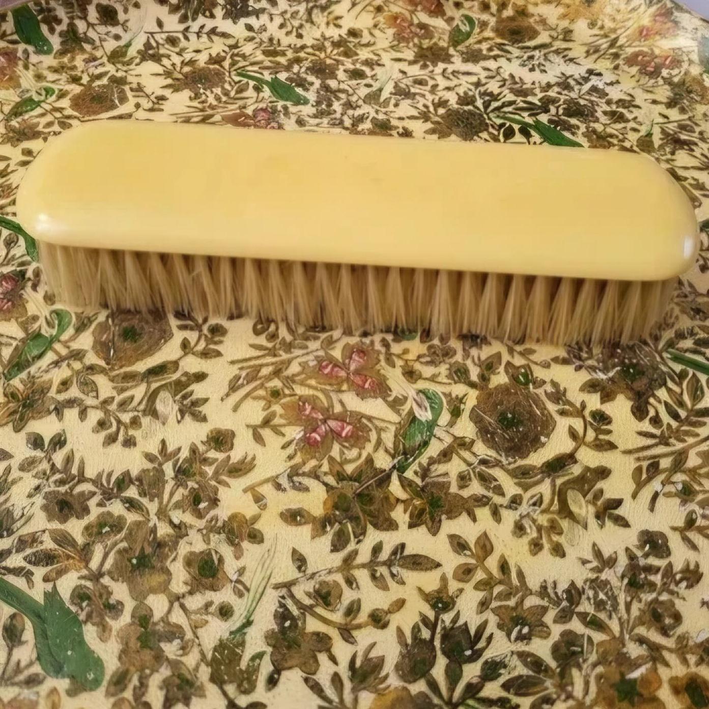 Vintage Handheld Celluloid Clothes Brush