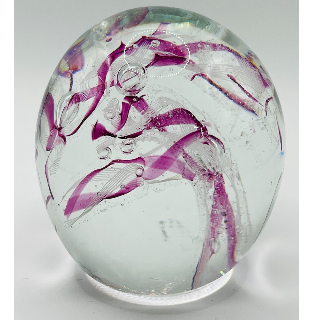 Jeff Vanaman Signed Paperweight