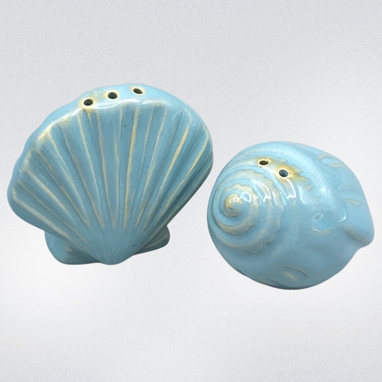 Salt And Pepper Blue Sea Shells Kitchen Dining