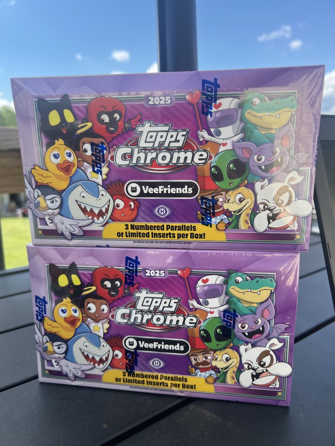 Vee Friends Day merch Giveaway And More