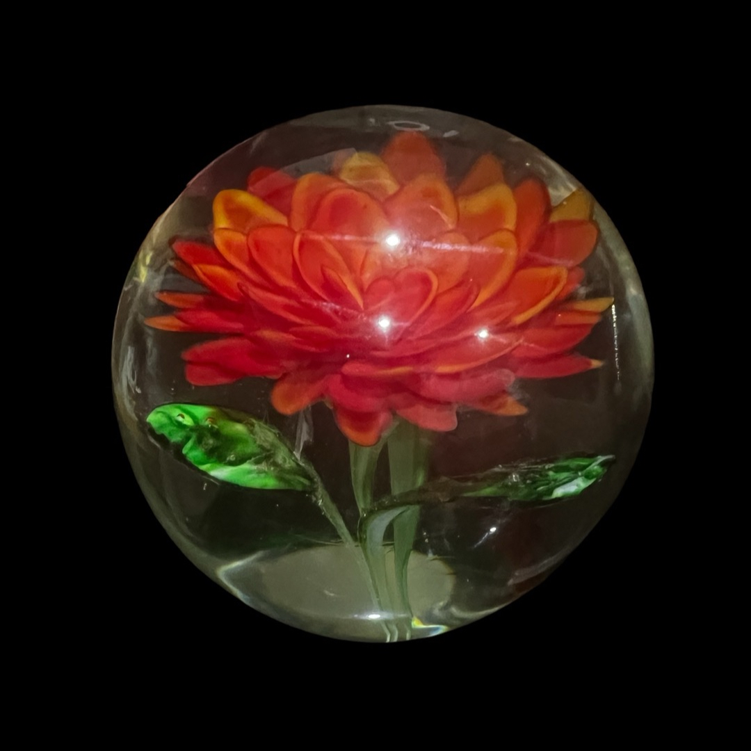 XL Chrysanthemum Flower Magnum Paperweight 3.5”