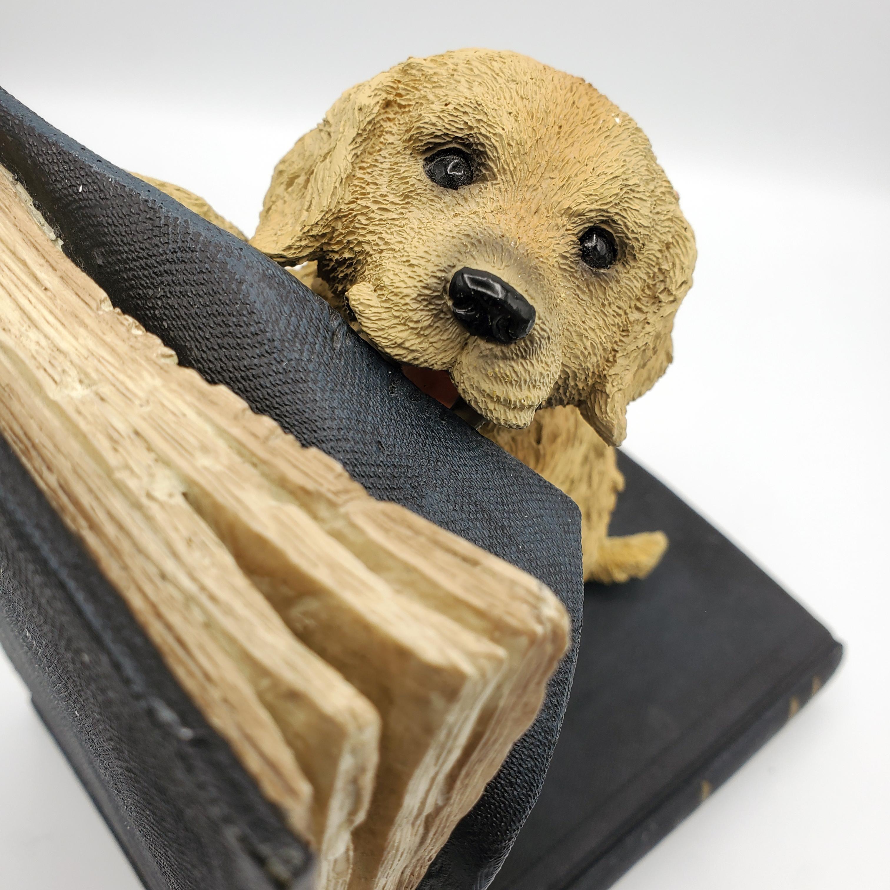 Barnes and Noble Golden Retriever Puppy Chewing On A Black Book Single ...