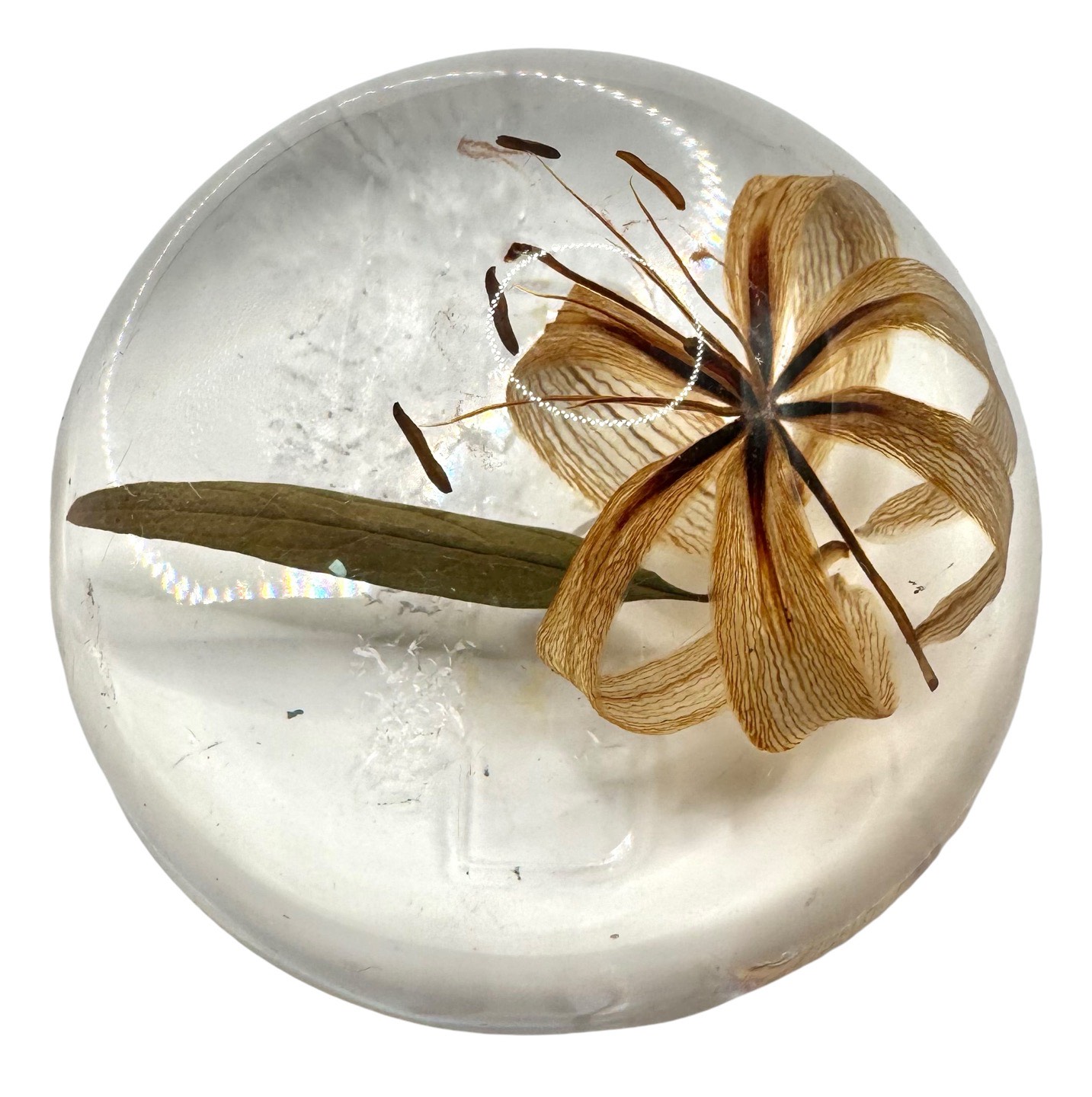 Vintage Signed W Rolfe Acrylic Lucite Paperweight Lily Flower Round 2.5”