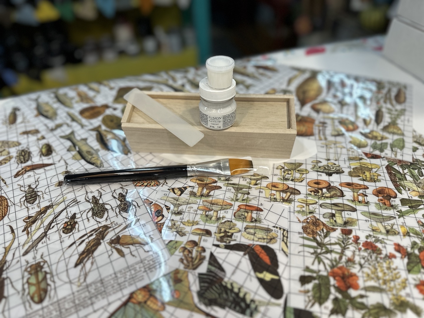 Back To School Pencil Box Kit