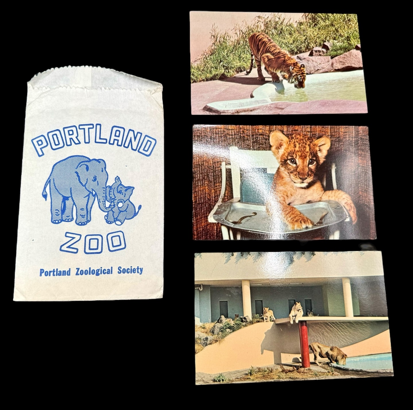 Set of 3 Vintage 1970s Portland Oregon Zoo Postcards in Bag Lion Tiger ...