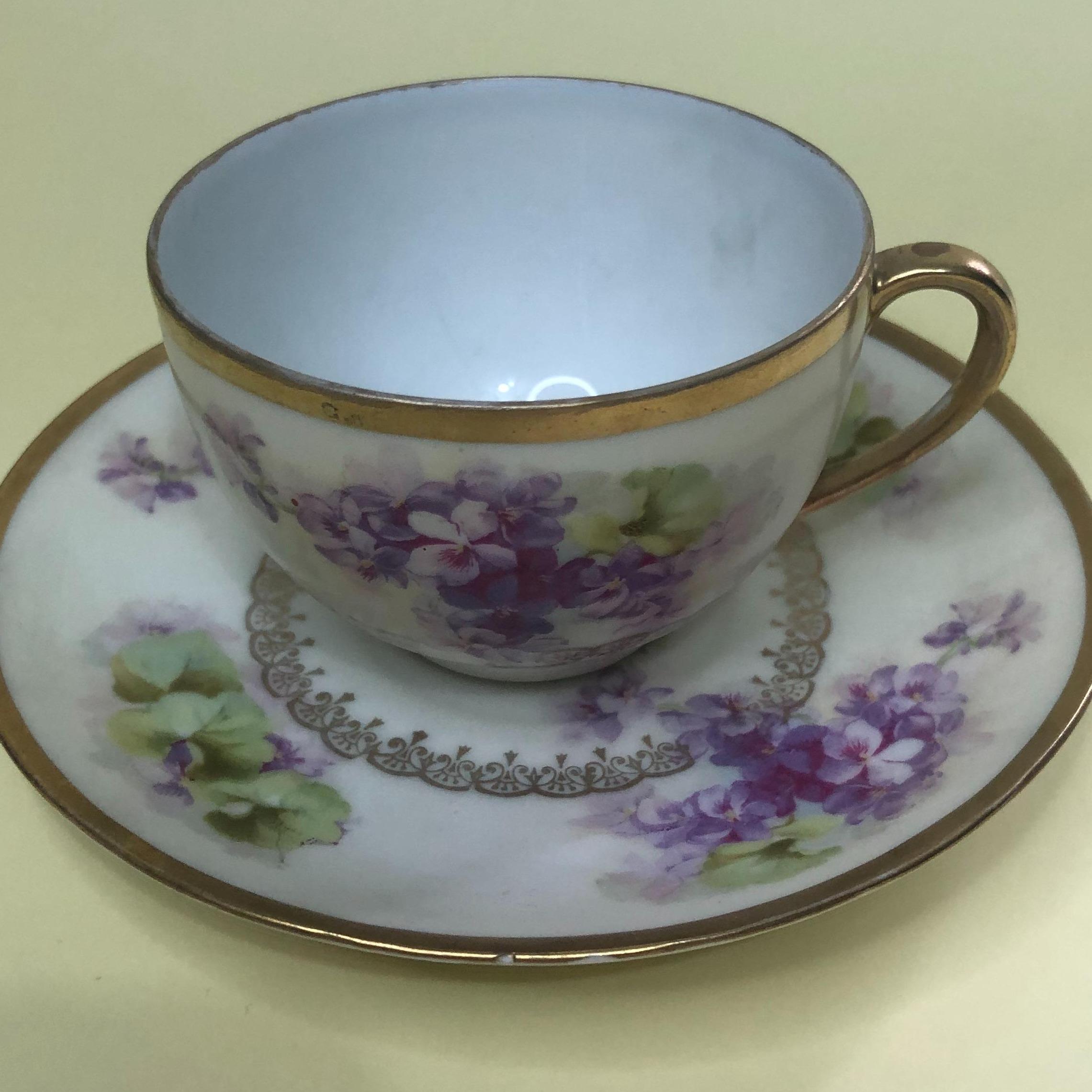 Bavaria Germany Purple Violets Tea Cup and Saucer